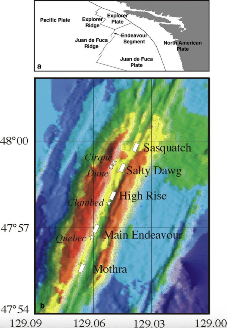 2,000 Earthquakes in a Day Hammer Fault Line Off Pacific Coast ...