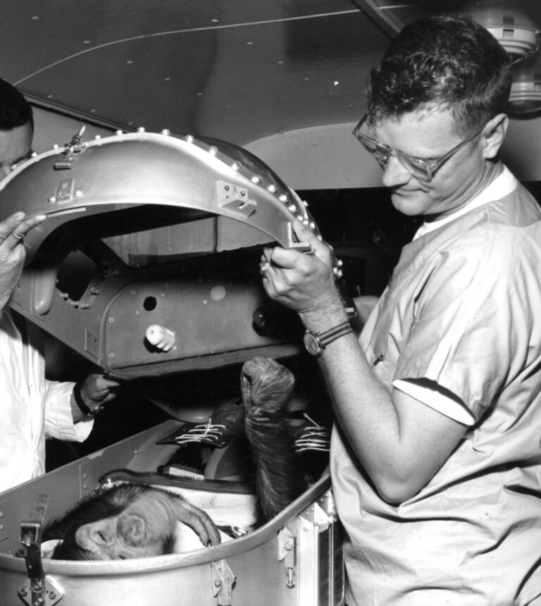 Ham the Astrochimp: Unwilling Simian Pioneer in the Space Race ...