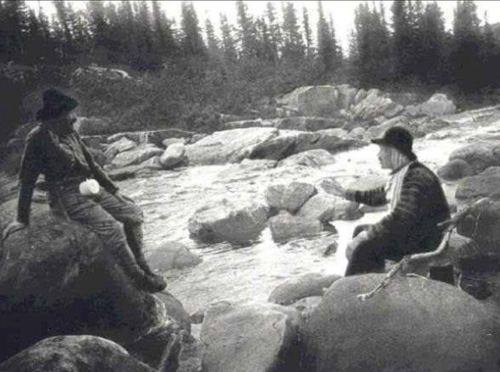 Mosquitoes and Black Flies: How They Find You, How to Keep Them Away ...