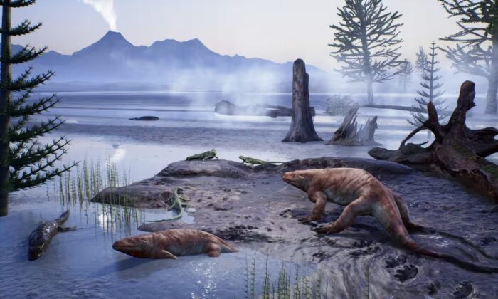 The Largest Insect That Ever Lived — Don't Worry, It's Not A Mosquito ...