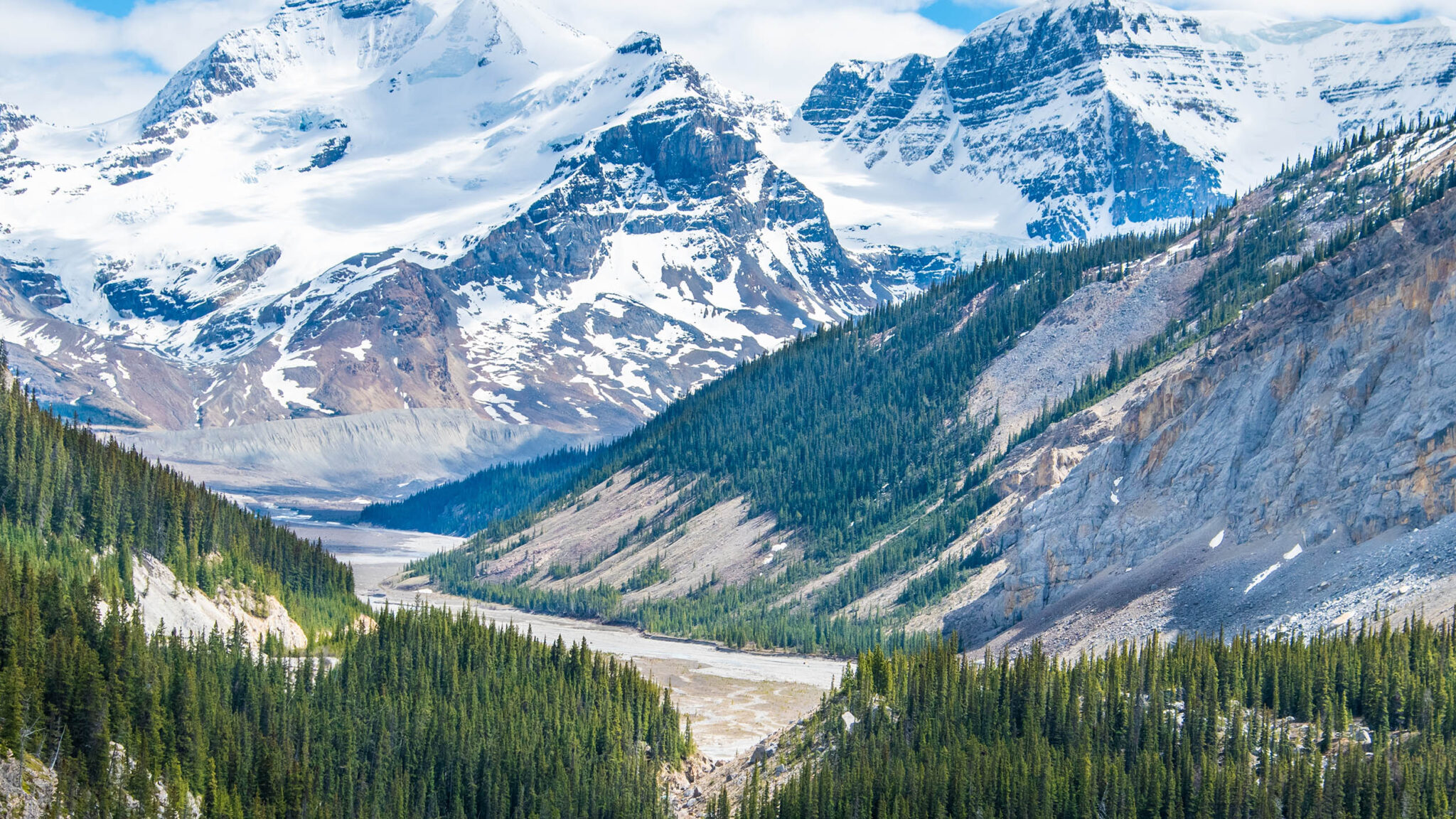 A $39,000 Turd: Fossilized Viking Poo Is World's Most Valuable ...