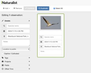 The iNaturalist App: What It Does, How It Works » Explorersweb