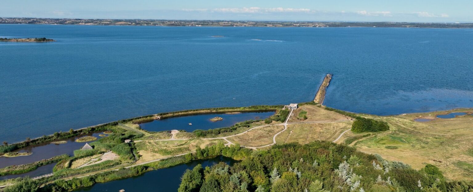 A Mysterious Fungus Turns Irish Cave Spiders Into Zombies » Explorersweb