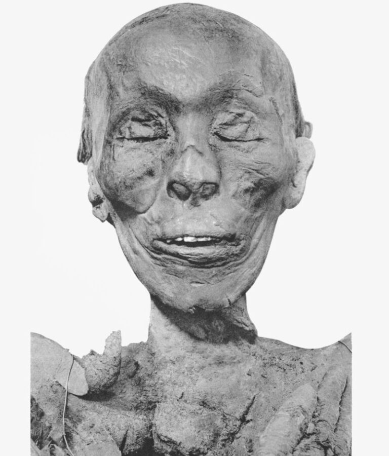 First Pharaoh's Tomb Since 1922 Discovered in Egypt » Explorersweb