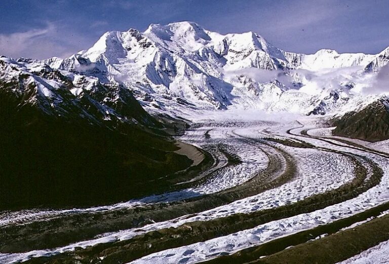 A $39,000 Turd: Fossilized Viking Poo Is World's Most Valuable ...