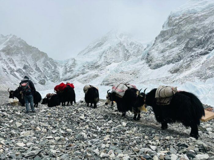 2023 Everest Deaths Totaled 18, the Worst Ever » Explorersweb