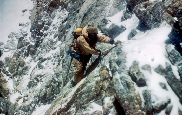 A $39,000 Turd: Fossilized Viking Poo Is World's Most Valuable ...