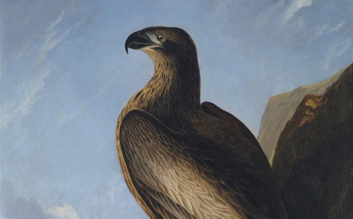 A $39,000 Turd: Fossilized Viking Poo Is World's Most Valuable ...