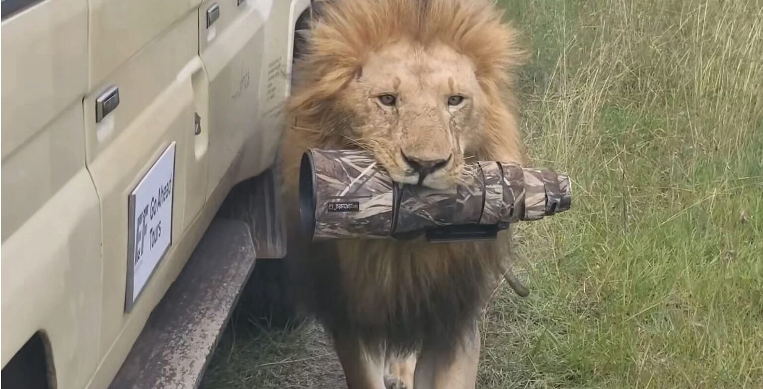 New: A Giant Drone That Carries One Passenger » Explorersweb