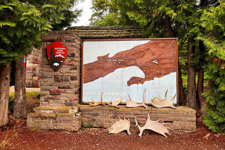 A $39,000 Turd: Fossilized Viking Poo Is World's Most Valuable ...