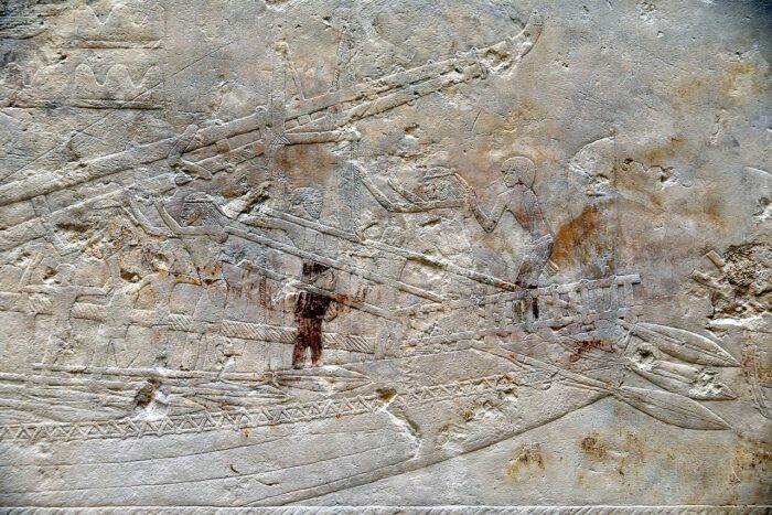 Where Was the Lost Kingdom of Punt? New Clues Point to the Horn of ...