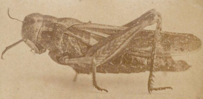 Apocalypse Then: The Volcanic Winter of 536AD » Explorersweb