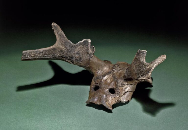 Exploration Mysteries: The Philadelphia Experiment » Explorersweb