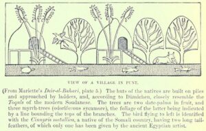 Where Was the Lost Kingdom of Punt? New Clues Point to the Horn of ...