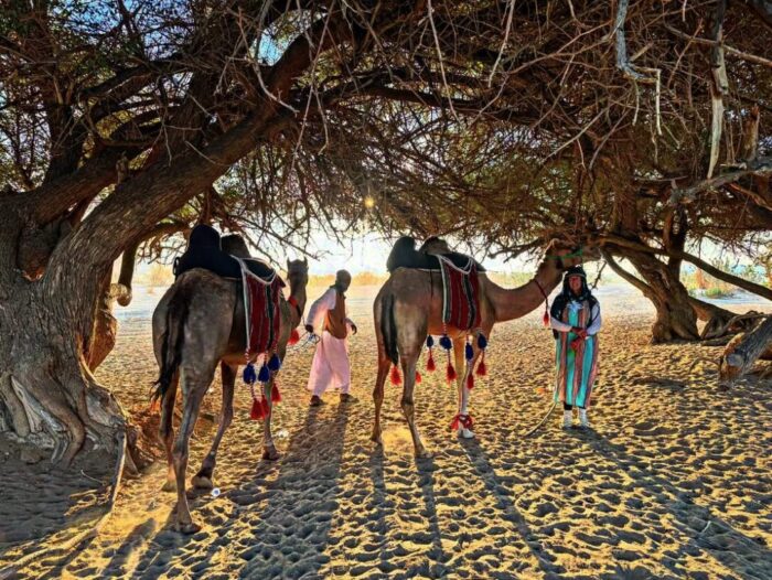 The Longest Walk in the World » Explorersweb